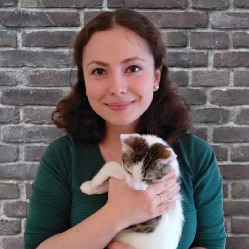 So you think you’re an expert? - The Dunning-Kruger Effect