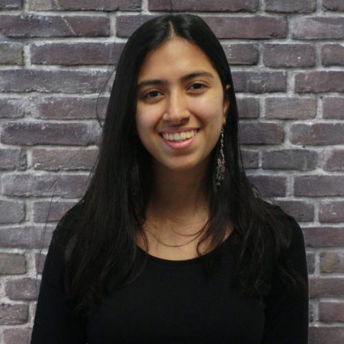 Nitya Shah, Author at Spiegeloog